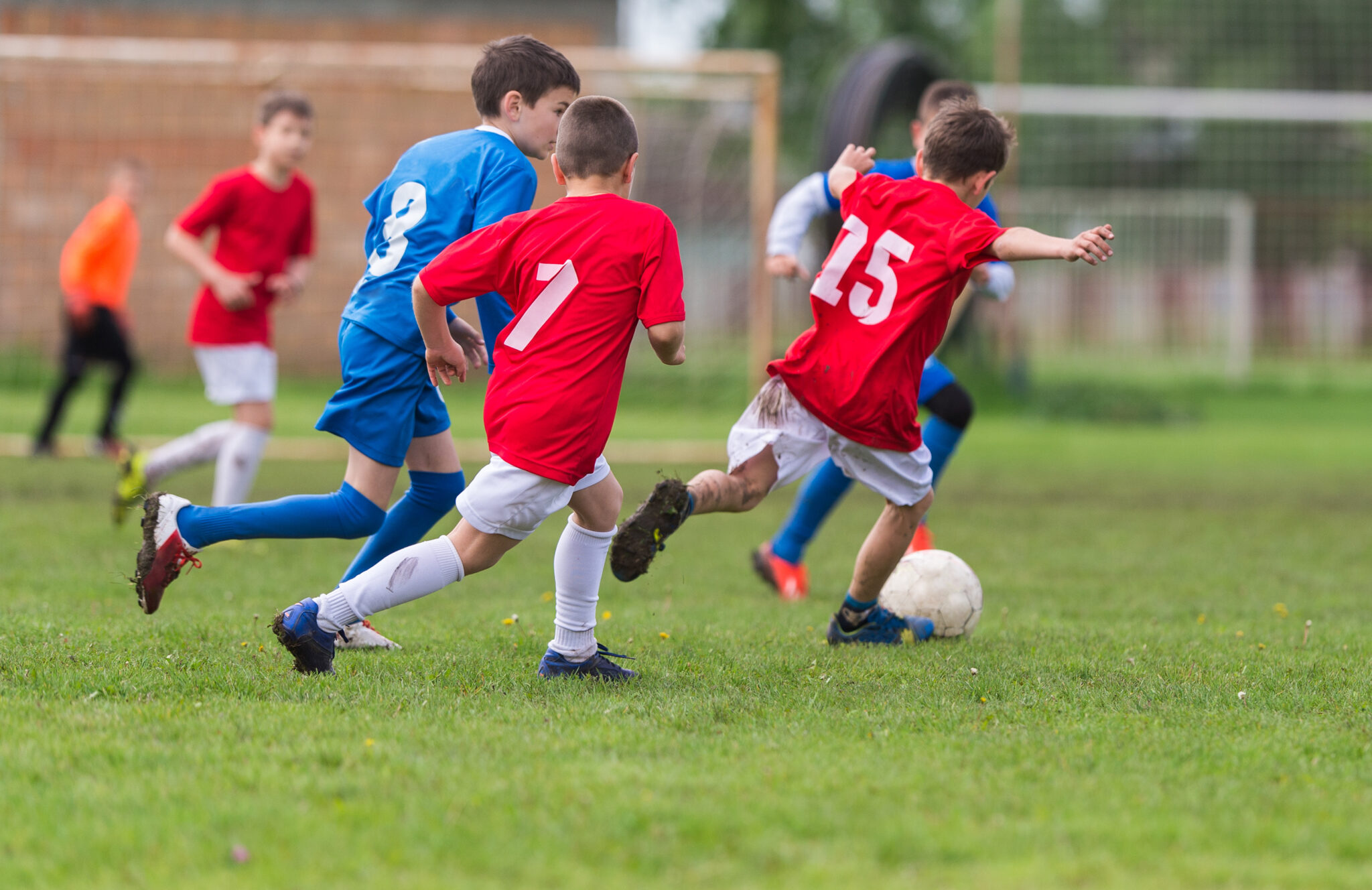 Copper Country Soccer Association – Bringing soccer to the Copper ...
